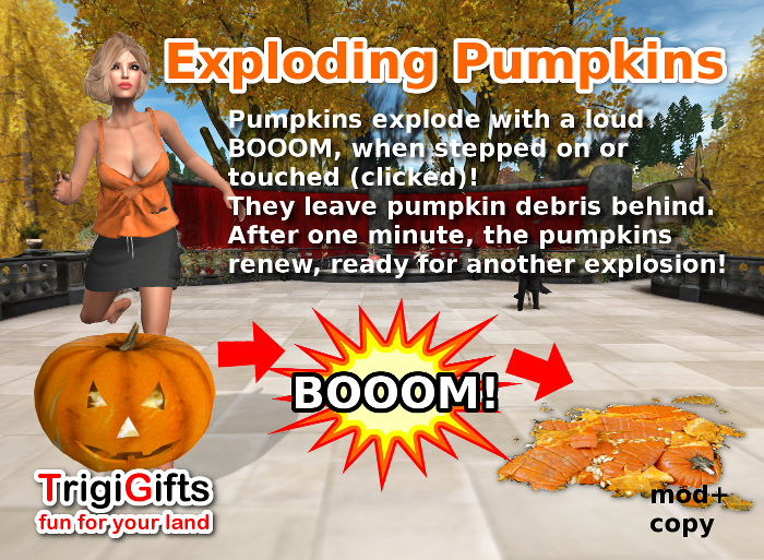 Second Life Marketplace - Pumpkins (pumpkin)